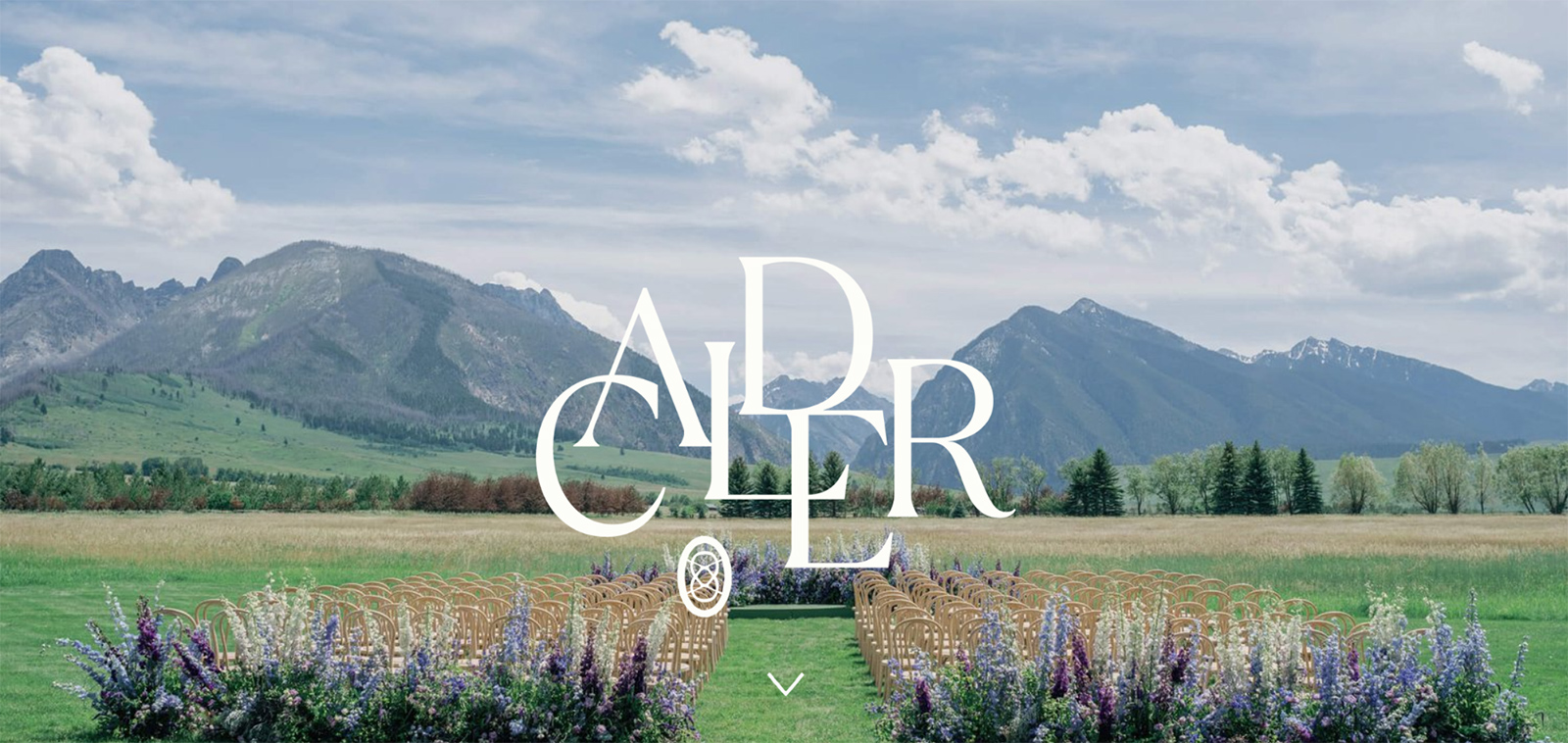 15+ Amazing Event Planner Websites Examples 2026 - The Digital Lemonade