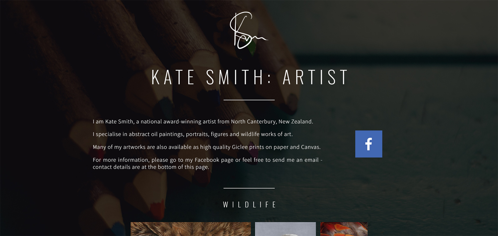 15+ Best Art Portfolio Websites Examples 2025 - The Digital Lemonade