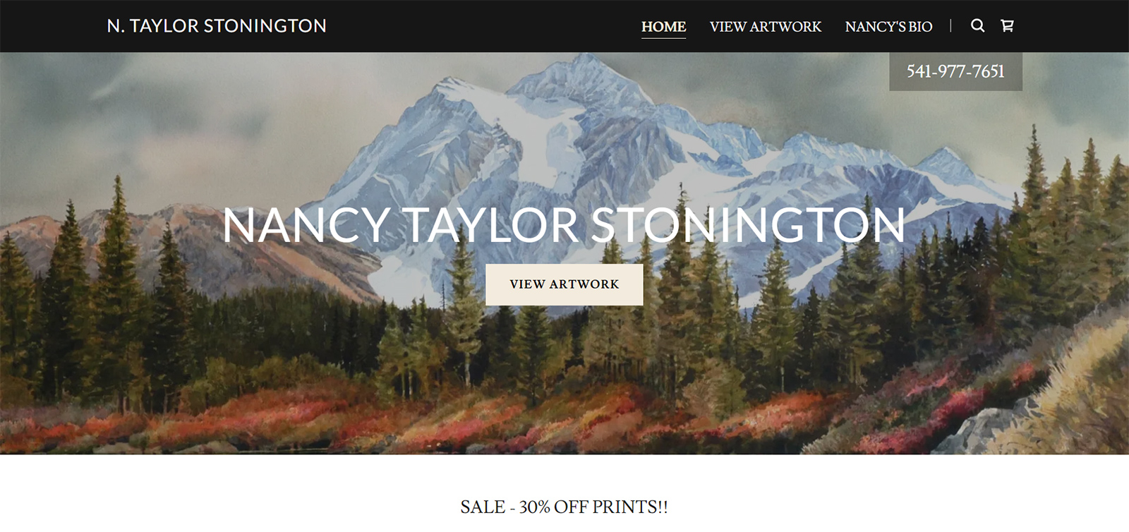 14+ Best Artist Websites Examples - The Digital Lemonade