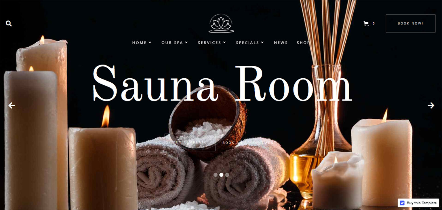 21 Stunning SPA Websites Examples of 2023 - The Digital Lemonade