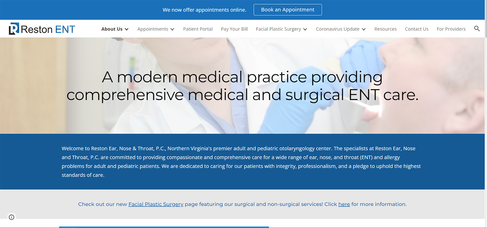 14+ Amazing Google Sites Websites Examples 2025 - The Digital Lemonade