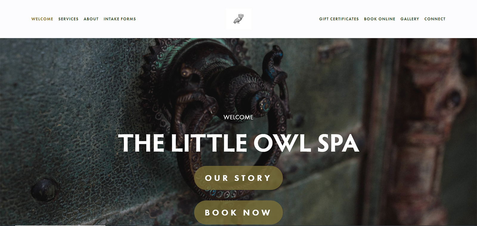 21 Stunning SPA Websites Examples of 2025 - The Digital Lemonade